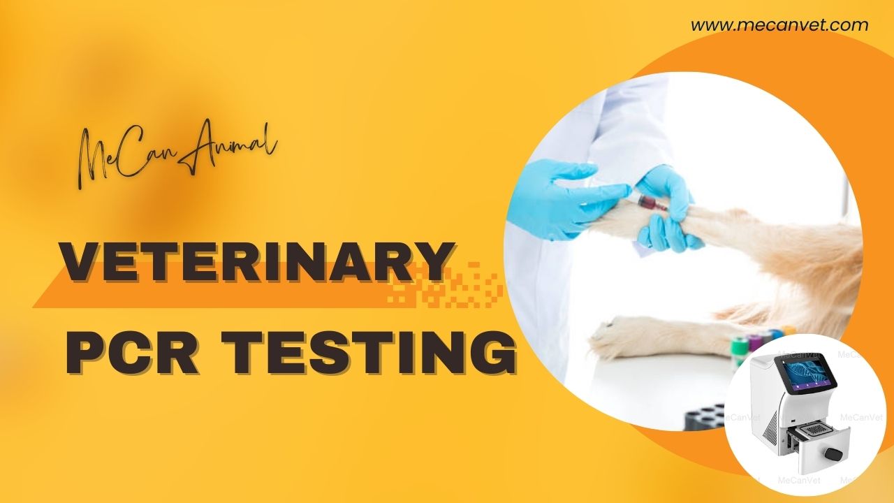 Veterinary PCR Testing